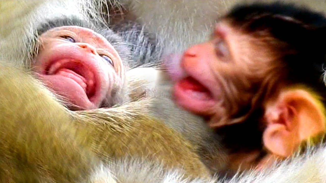 Adorable Baby STARCEL Felt Not Comfortable As Hug Him So Tightly ...