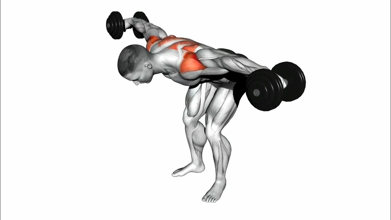 Dumbbell Rear Delt Flyes Reardeltfly Reardeltoidexercises Reardelts Youtube