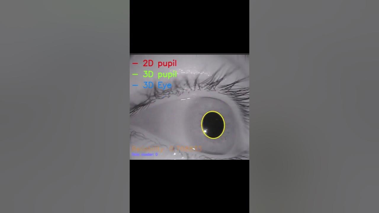 Fast, Accurate, Open-source Eye Tracking - YouTube