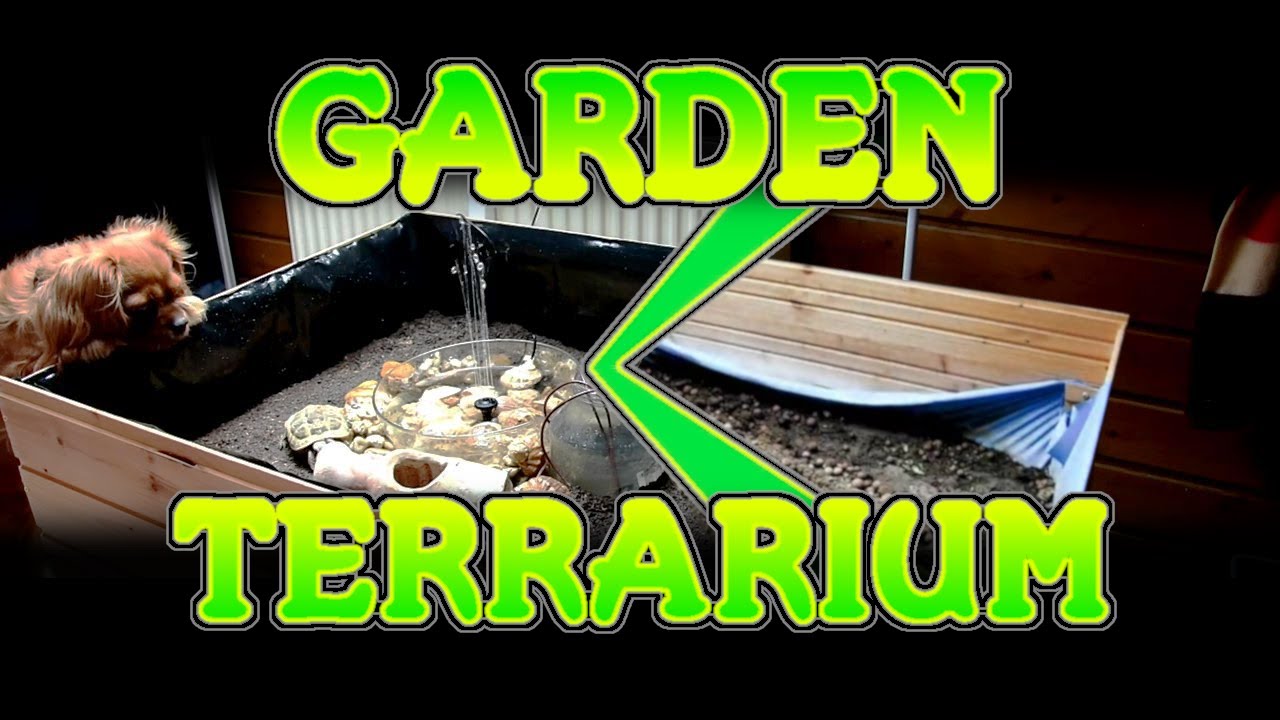 How to Make Tortoise Terrarium or Interior Garden at Home | D Workshop ...