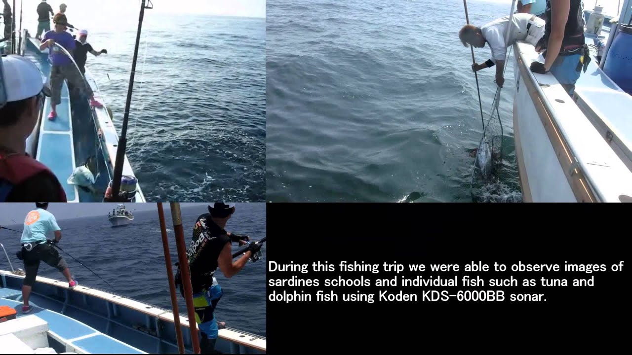 KDS 6000BB promotion - YouTube