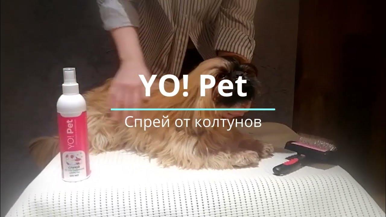 Yo! Pet Спрей от колтунов для собак и кошек - YouTube