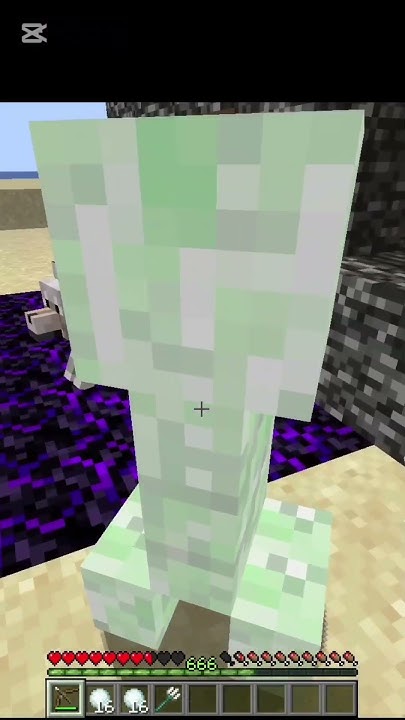 Minecraft Tick Freeze - YouTube