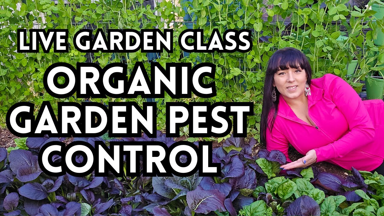 Live Garden Class: Organic Garden Pest Identification, Treatment ...