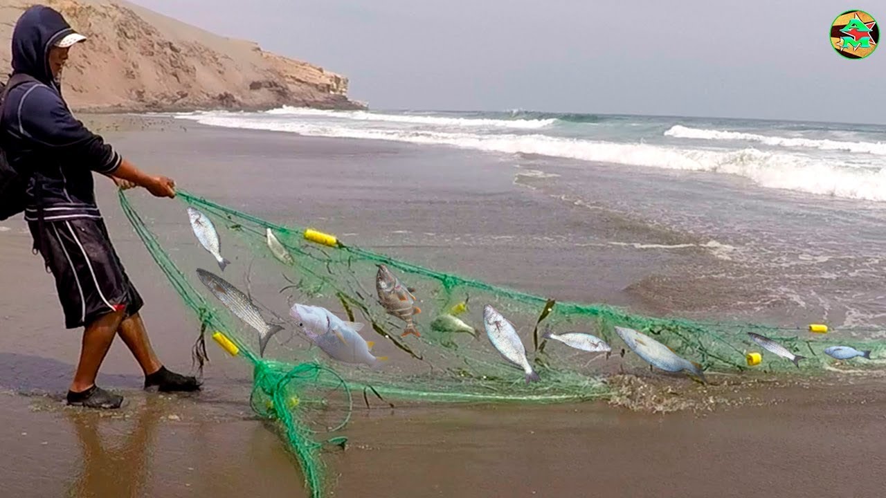 GRAN PESCA CON RED EN EL MAR - PESCADOR EXPERTO - YouTube