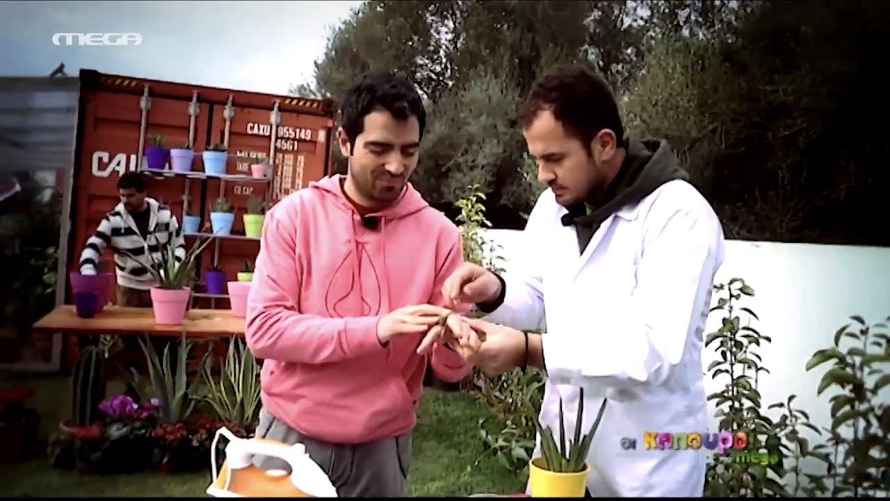 Οι Κηπουροί του Mega - Επεισόδιο 26 HD - YouTube