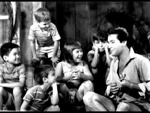 MLC22 Donna Butterworth.WMV - YouTube