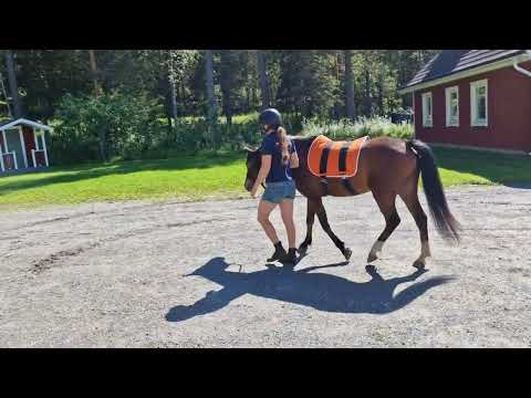 20240721 Kläppens Kiara och Sofia vid uppsittningspallen