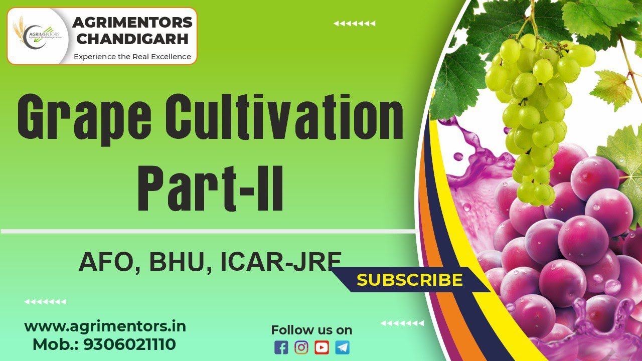 Grape Cultivation Part-II | Propagation | Training & Pruning ...