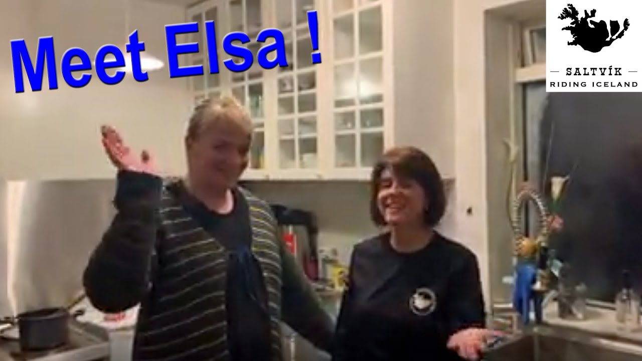 Riding Iceland Meet Elsa 🇮🇸 ! - YouTube