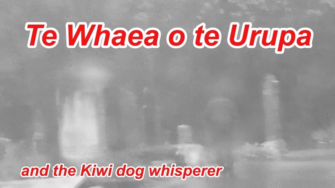 Te Whaea o te Urupa Woman Warrior and the Kiwi Dog Whisperer, - YouTube