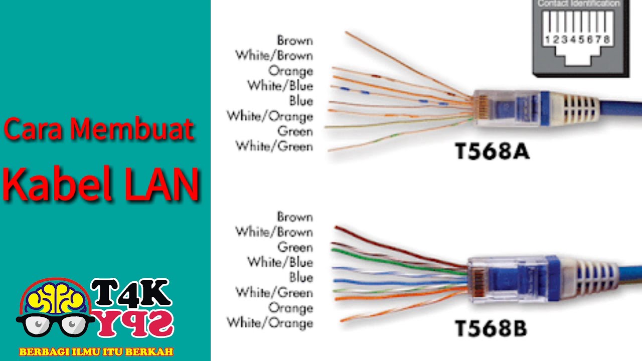 Cara membuat kabel jaringan (LAN) - YouTube