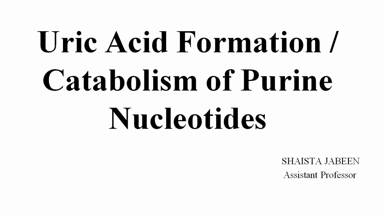 Uric Acid Formation (Part 2 of 2) | Adenine | Catabolism of Purine ...