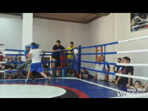 Kardeş Boksörler Süperler!:O:O