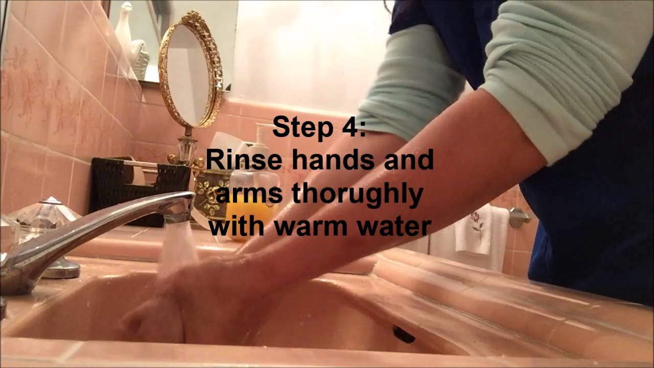 Proper Hand Washing for Food Preparation - YouTube