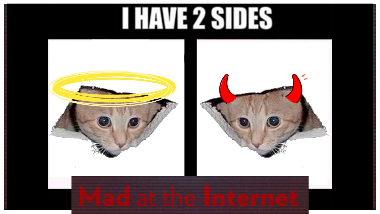 Rekieta's Ceiling Cats - Mad at the Internet - YouTube
