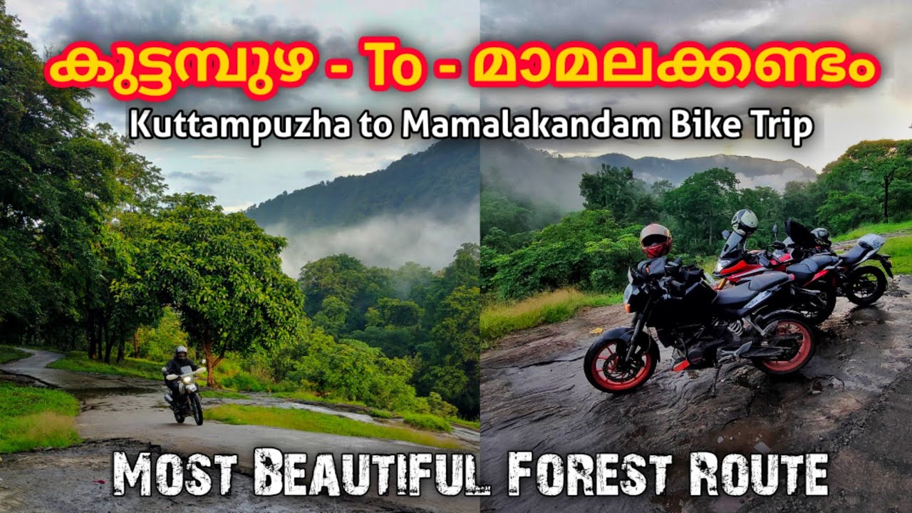 kuttampuzha to mamalakandam forest road | most beautiful forest route in ernakulam | bike trip ...