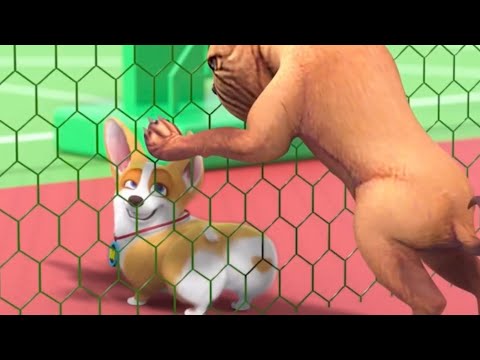 Moco Corgi:  Fart Edit 🐕🍑💨 🐶!