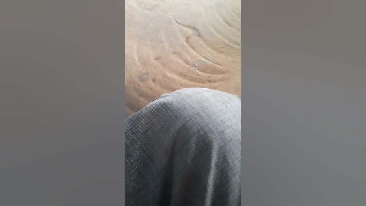 2 September 2024 - YouTube