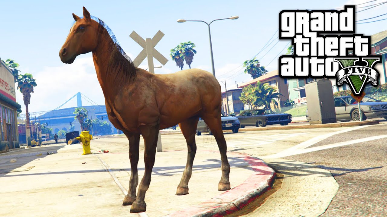 SE TRANSFORMER EN CHEVAL GTA 5 (Secret Peyotl) - YouTube