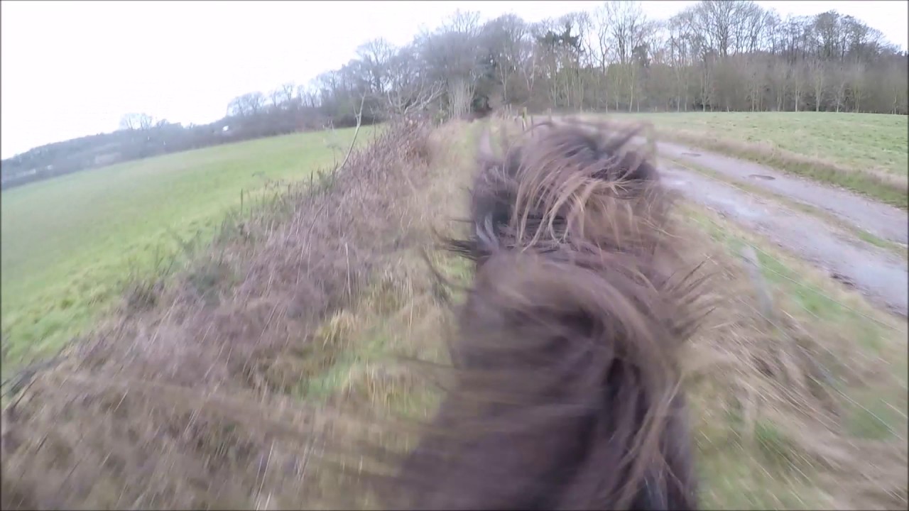 Padworth common ride Feb 2017 - YouTube