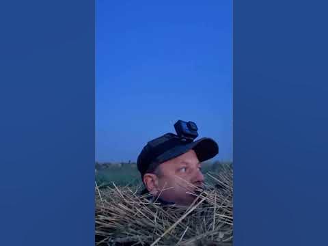 Охота на ГУСЯ в KZ - YouTube