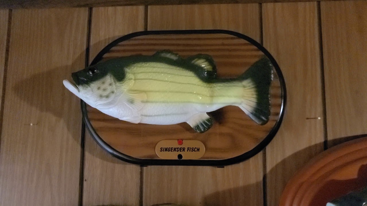 Singender fisch - YouTube