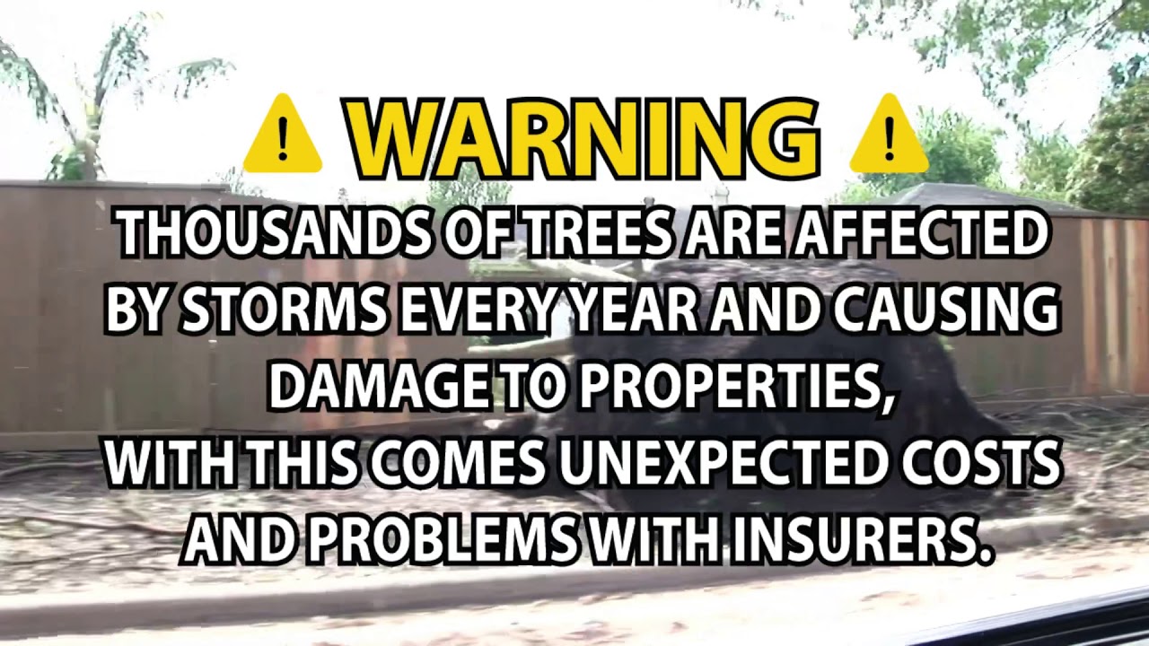 JP’s Tree Service (overview) - YouTube