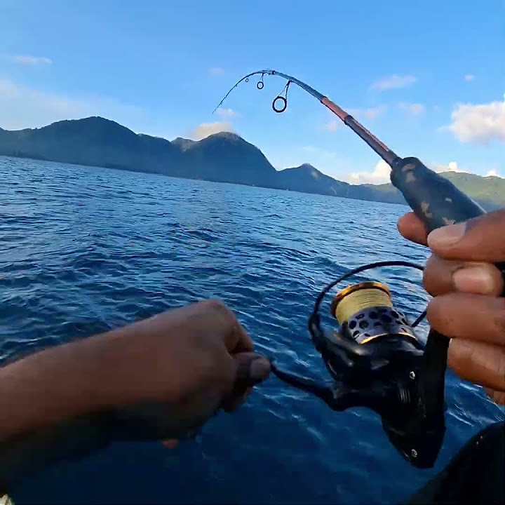 Reel berderit kencang ‼️tarikan ikan karang ini luar biasa - YouTube