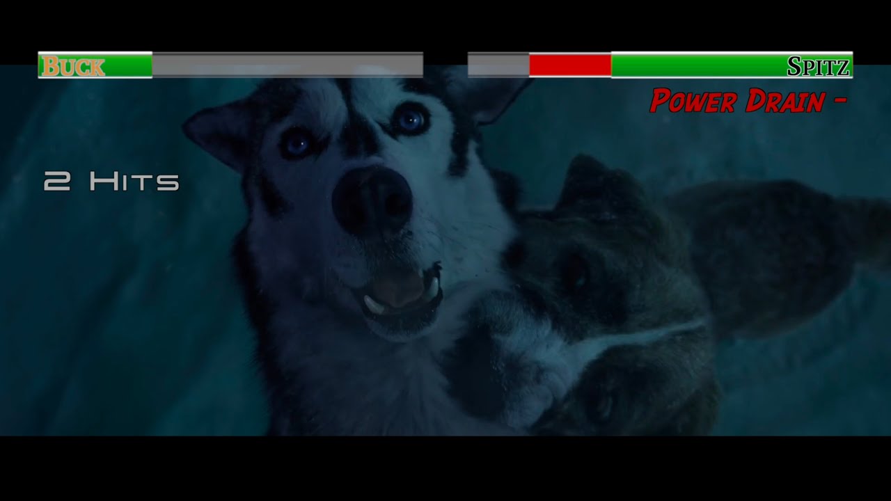 Buck vs Spitz...with healthbars - YouTube