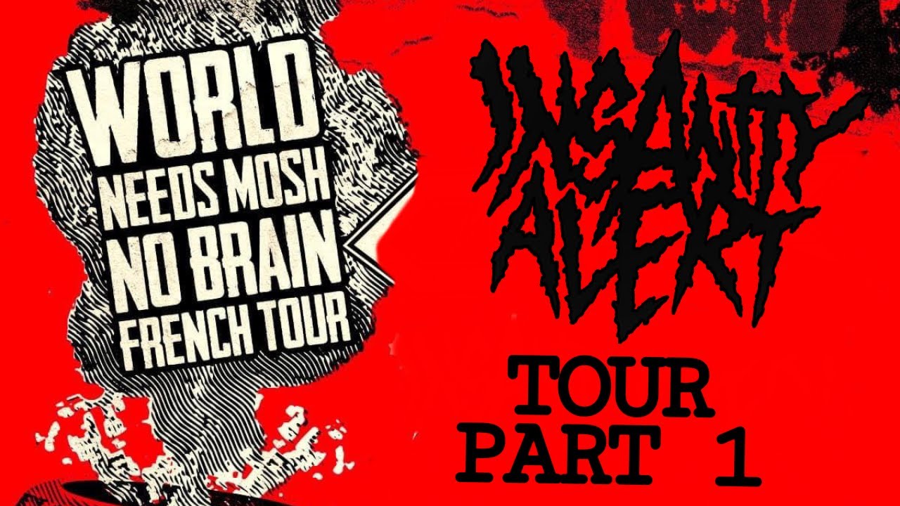 Insanity Alert - World needs Mosh NO Brain Tour *PART 1* #metal #thrash - YouTube
