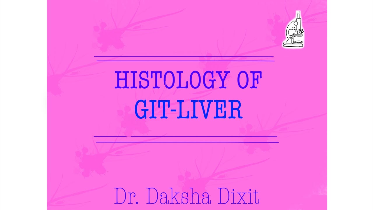 HISTOLOGY OF GIT - LIVER - YouTube