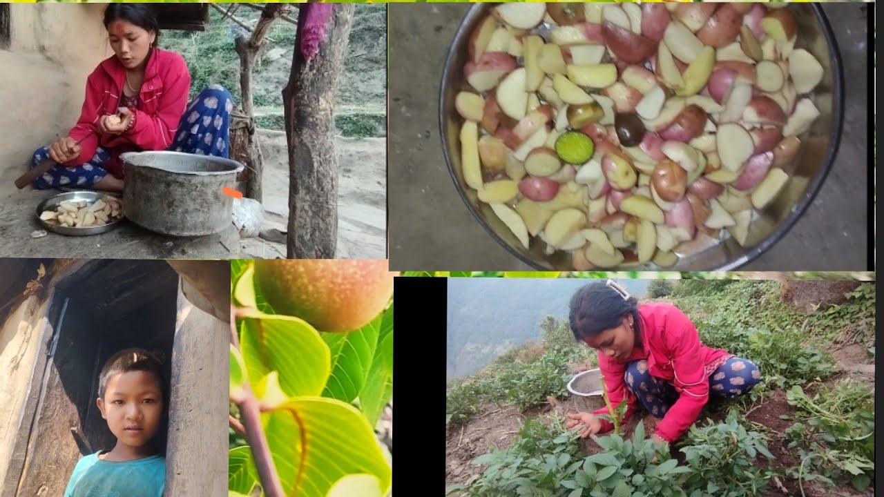 How to cooking food || village cooking || potato vegetable|| villager ...