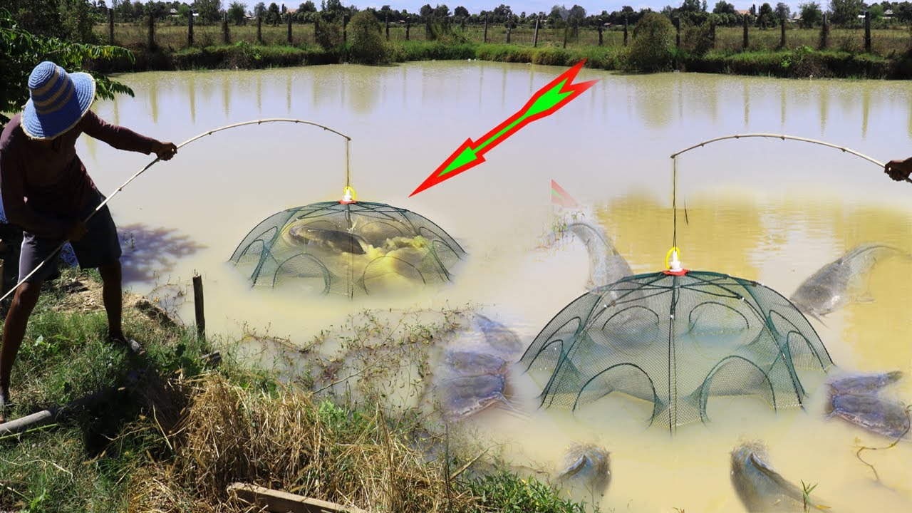 Traps 1000 000 IQ , Fish Trap System Using Strange Equipment - Tyriq ...