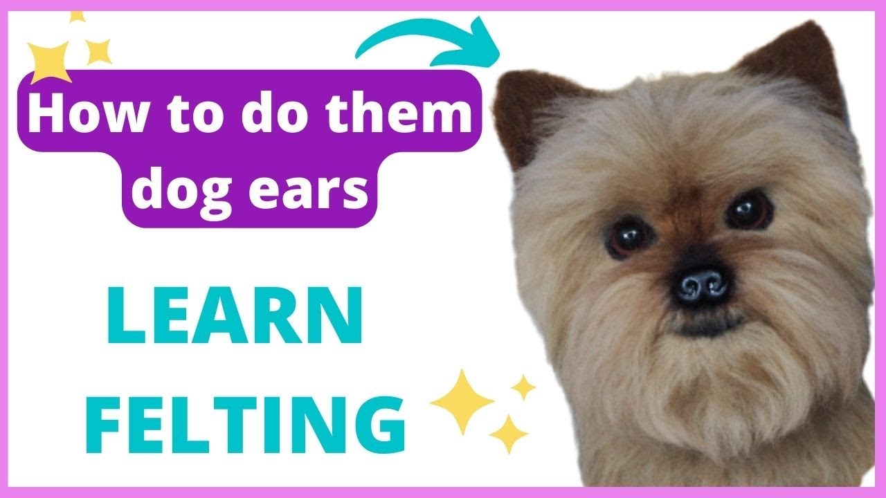 Needle FELTING DOG ears 🐶 TUTORIAL for beginners - YouTube