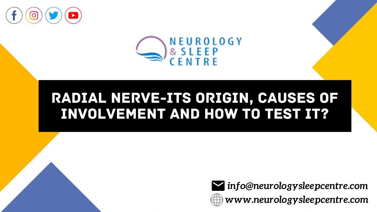 Radial Nerve-Its Origin, Causes of Involvement, and How to Test it ...