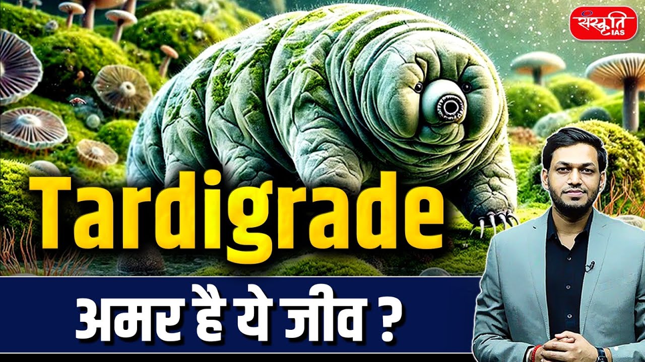 Tardigrade: The Immortal Creature? | Water Bear Facts Explained ...