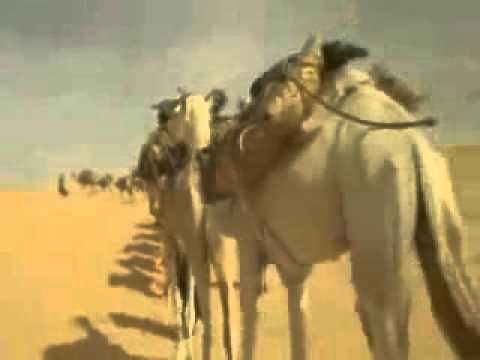 Celaleddin Ada - Sürgün