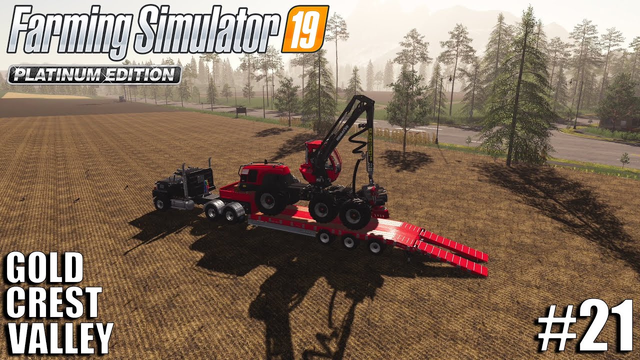 I HAD TO CLEAR THE TREES AGAIN | Gold Crest Valley | Timelapse #21 ...