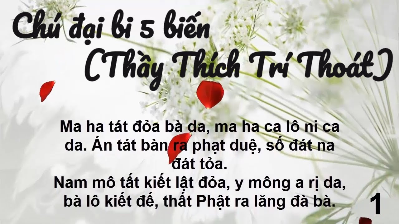 Chú đại Bi 5 Biến Chú Đại Bi Tụng Kinh Thượng Tọa Thích Trí Thoát 3066
