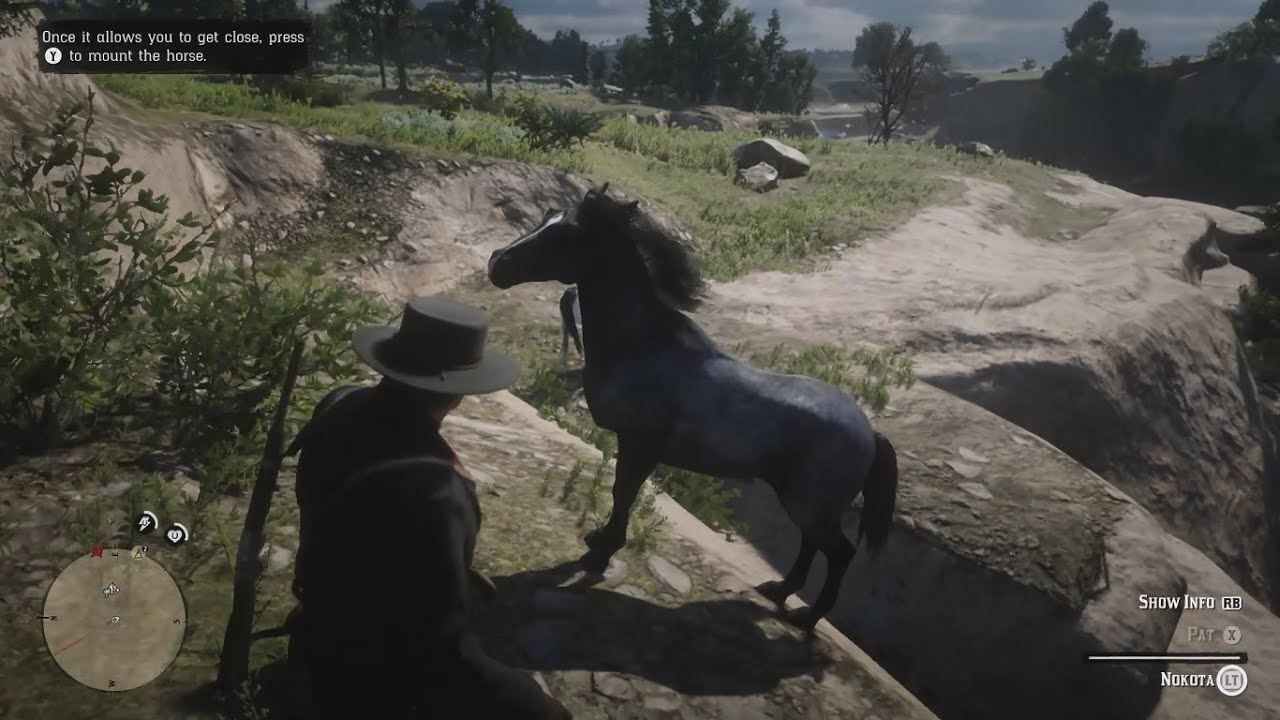 How to calm down the beautiful blue and black Nokota Horse (Red Dead ...