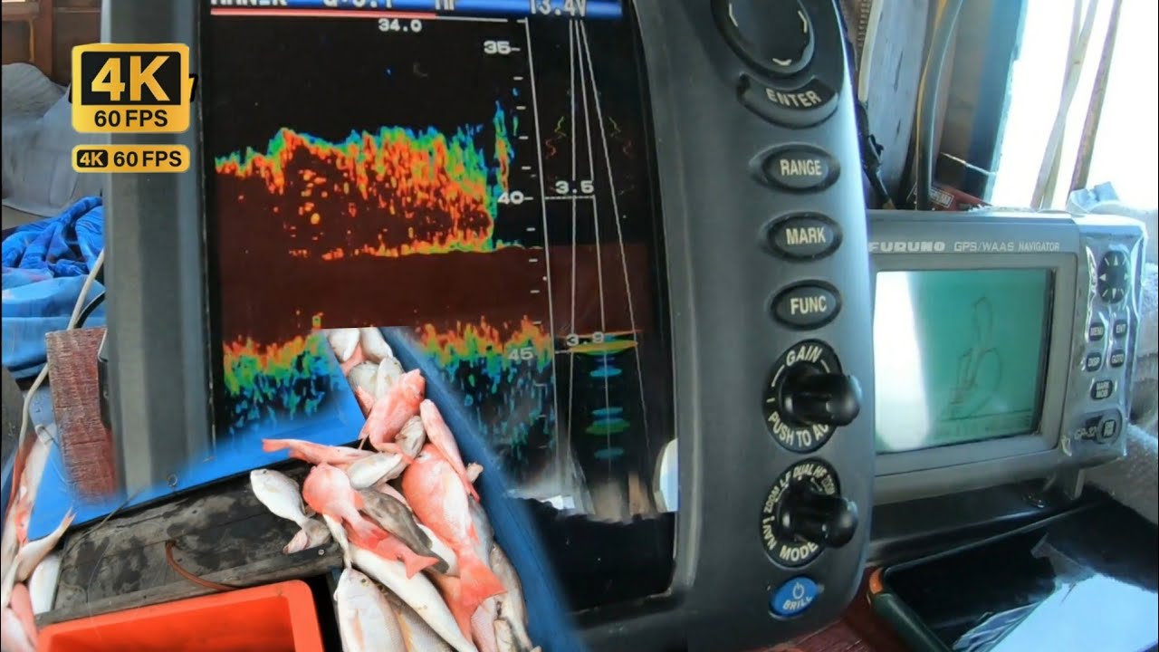 DI SPOT INI.! SURGA MANCING KAKAP MERAH, ANGGOLI: FUN FISHING DI LAUT ...