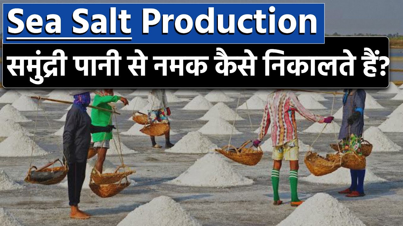 Sea Salt Production in Hindi | Do You Know How Sea Salt is Prepared in ...