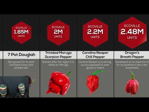 Most Spiciest Foods In the World!! - YouTube
