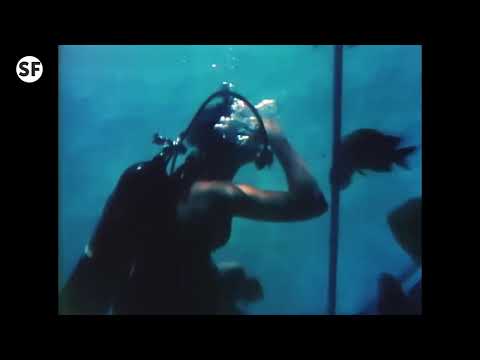 Vintage Scuba Diving Woman Feeding Fish 1970s
