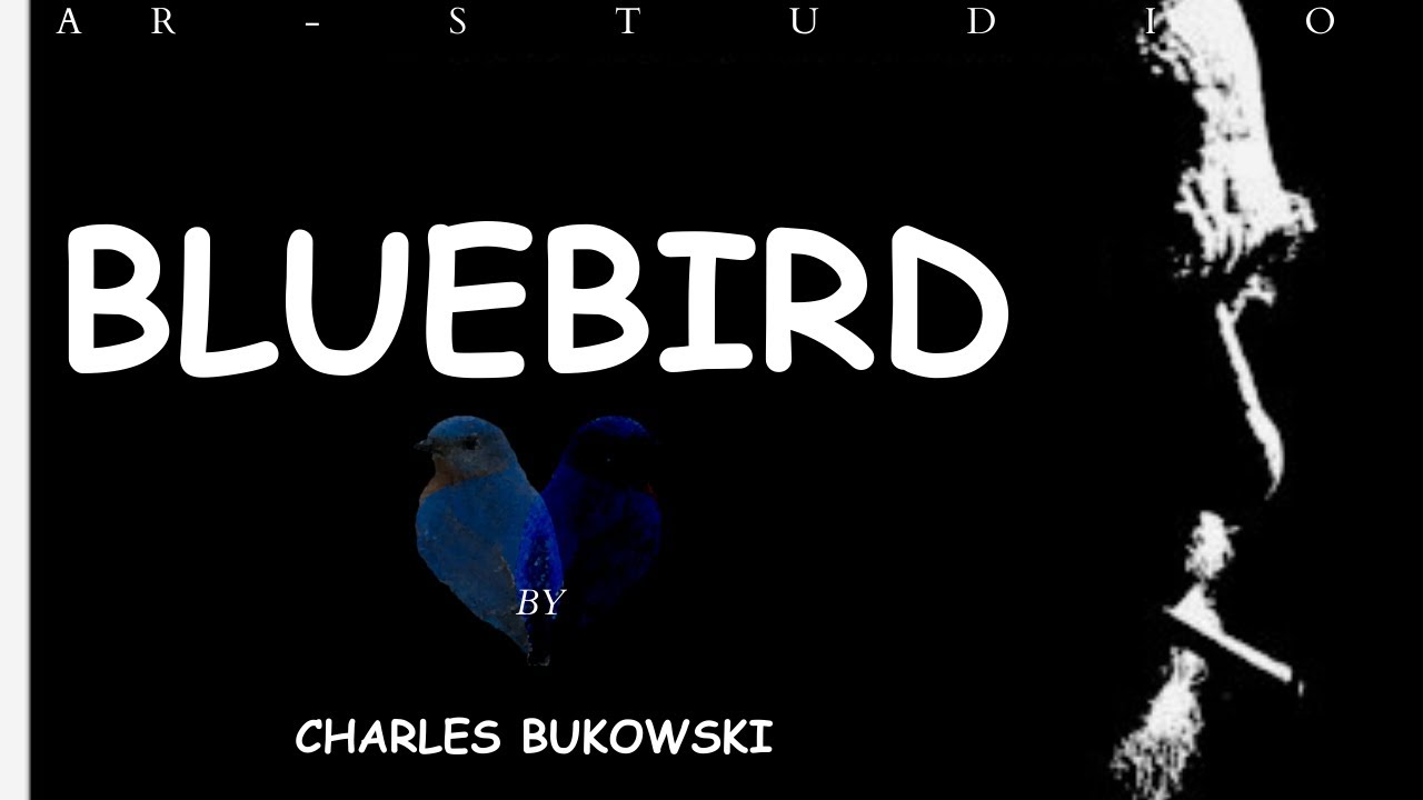 Blue Bird by Charles Bukowski - AR Studio - YouTube