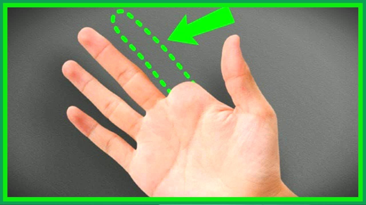 Zach King Magic Compilation || HOW TO DO MAGIC TRICKS, BEST MAGIC ...