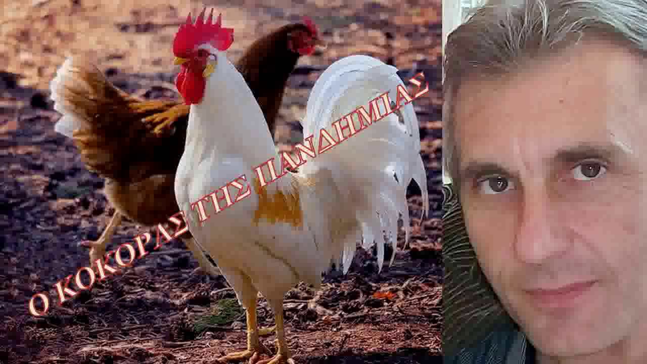Ο ΚΟΚΟΡΑΣ ΤΗΣ ΠΑΝΔΗΜΙΑΣ ΓΕΩΡΓΙΟΣ ΚΟΛΟΚΥΘΑΣ ΣΑΤΥΡΙΚΟ ΤΡΑΓΟΥΔΙ - YouTube