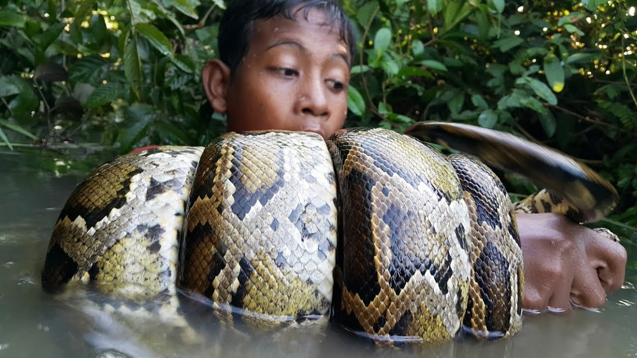 Primitive Technology Catch Big Snake Using Real hands At The Canal By ...