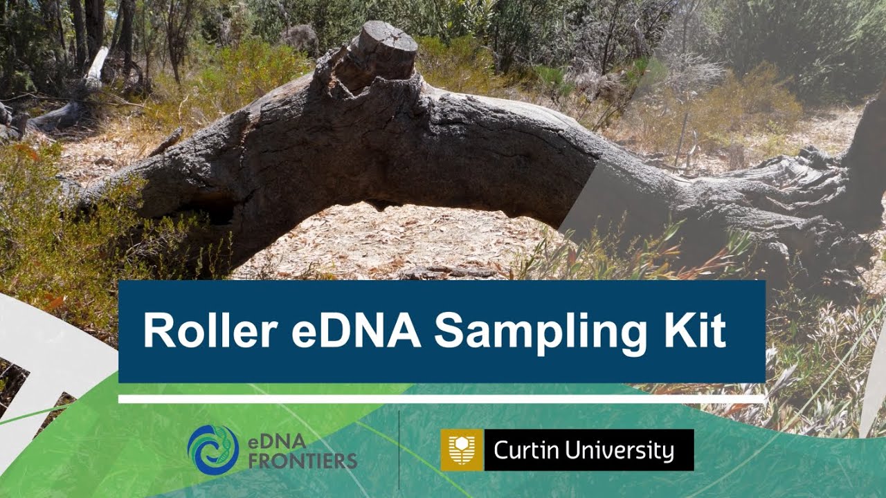 Roller eDNA Sampling Kit from eDNA Frontiers - YouTube